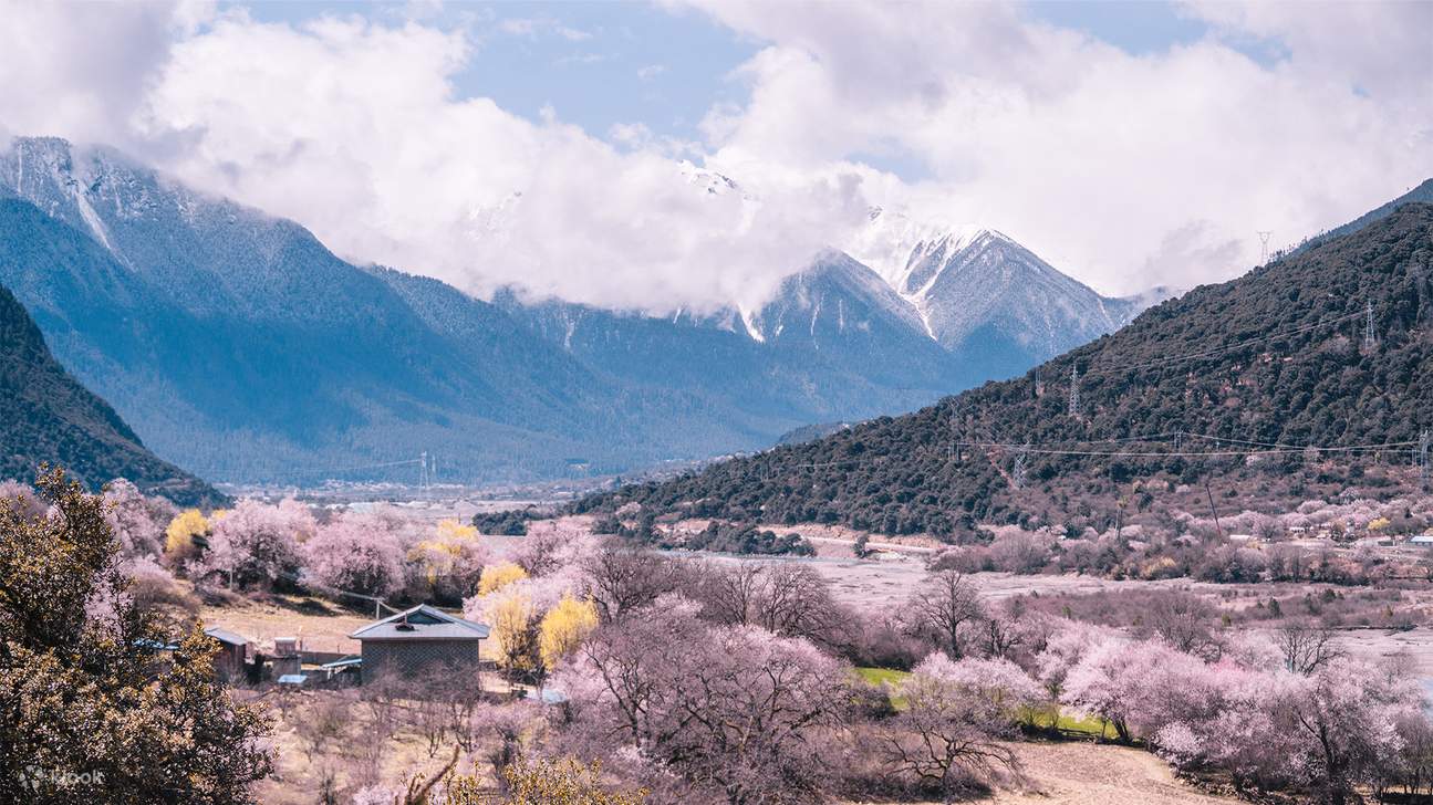 [Eksklusif untuk tamu asing] Tur pribadi 3 hari di Nyingchi, Tibet ...